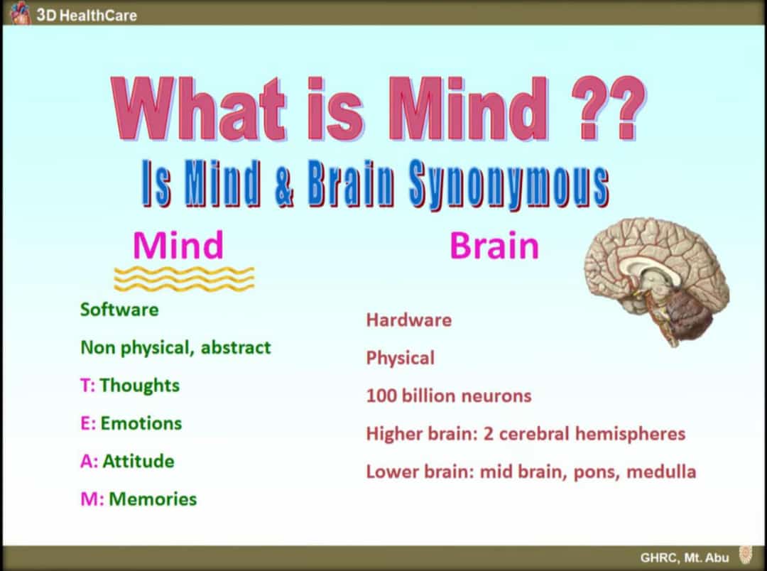 What Is The Difference Between Mind And Brain Food For Thoughts What Is The Difference Between Mind And Brain Food For Thoughts